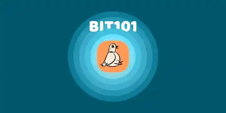 BIT101